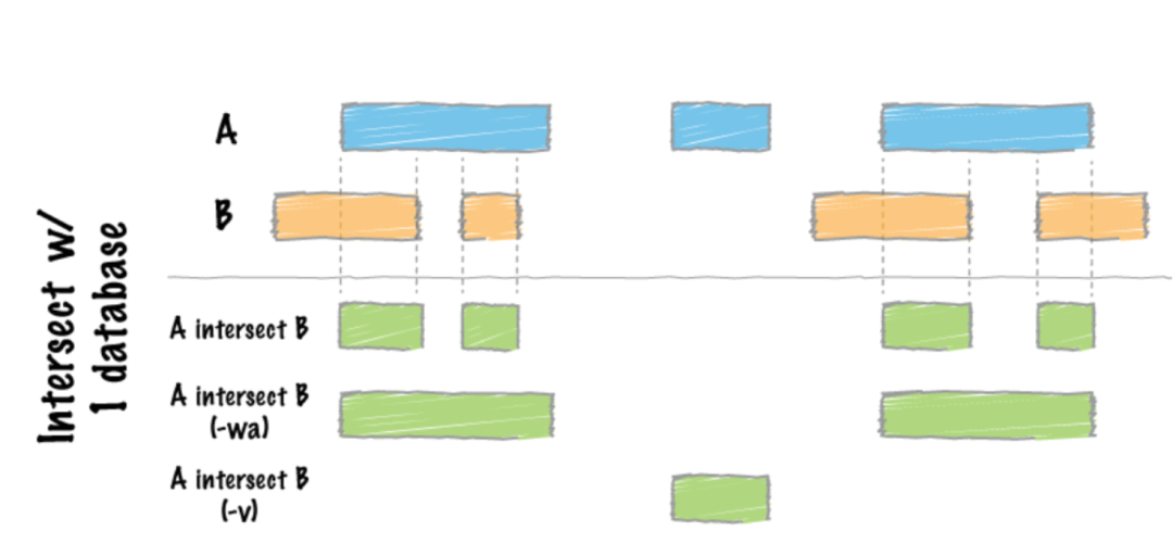 使用bedtools进行gwas基因注释 - 知乎