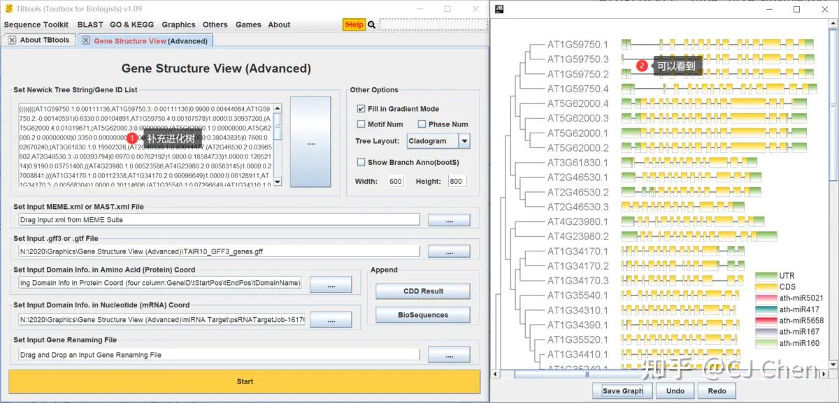 TBtools | 多图合一至强版教程！进化树 + Motifs + 结构域 + 启动子 + 基因结构 + .... - 知乎
