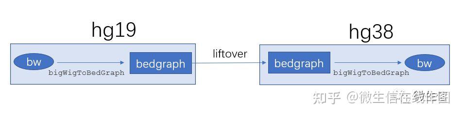 做研究用hg19还是hg38基因组？一行代码将hg19的bw文件转成hg38 - 知乎