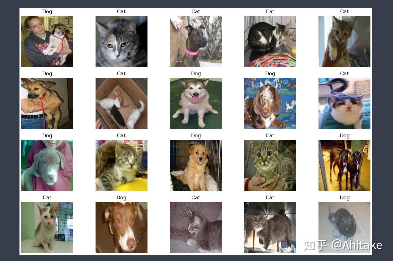 cats vs dogs 深度学习图像分类 - 知乎