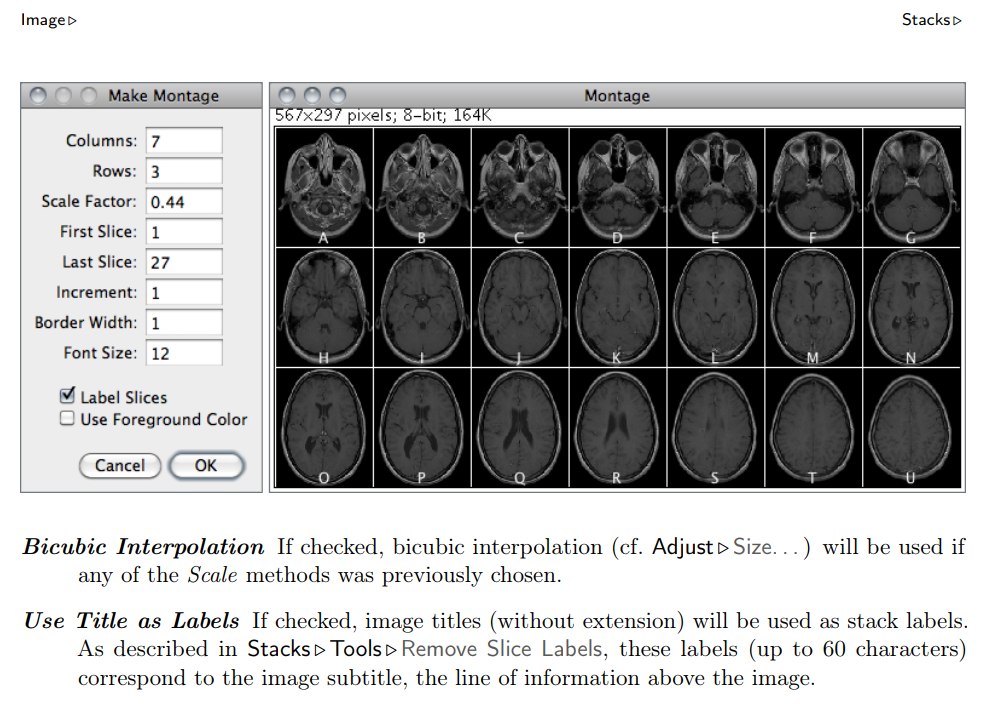 如何用ImageJ做出这种酷炫动画 - 知乎