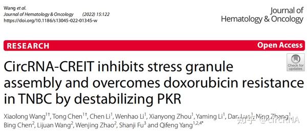 J Hematol Oncol | circRNA-CREIT可降低三阴乳腺癌中的阿霉素耐药性 - 知乎