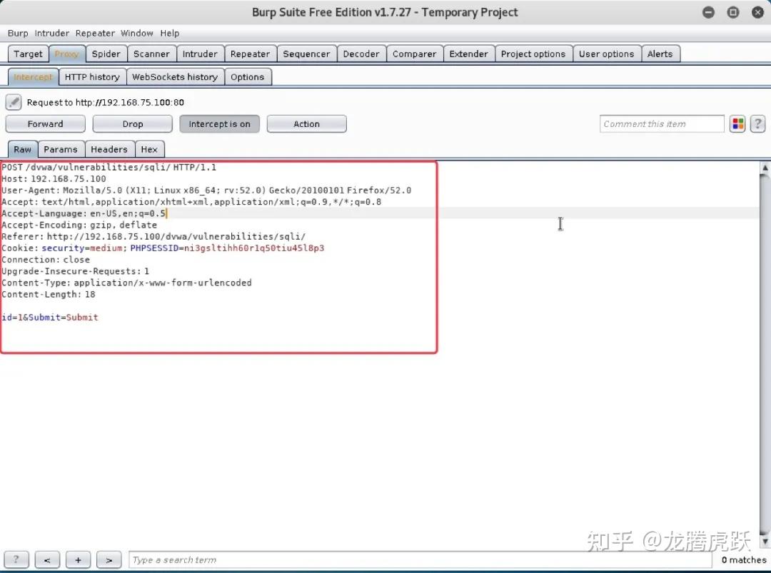 【DVWA实战篇】12分钟学会 SQL 注入攻击实战 - 知乎