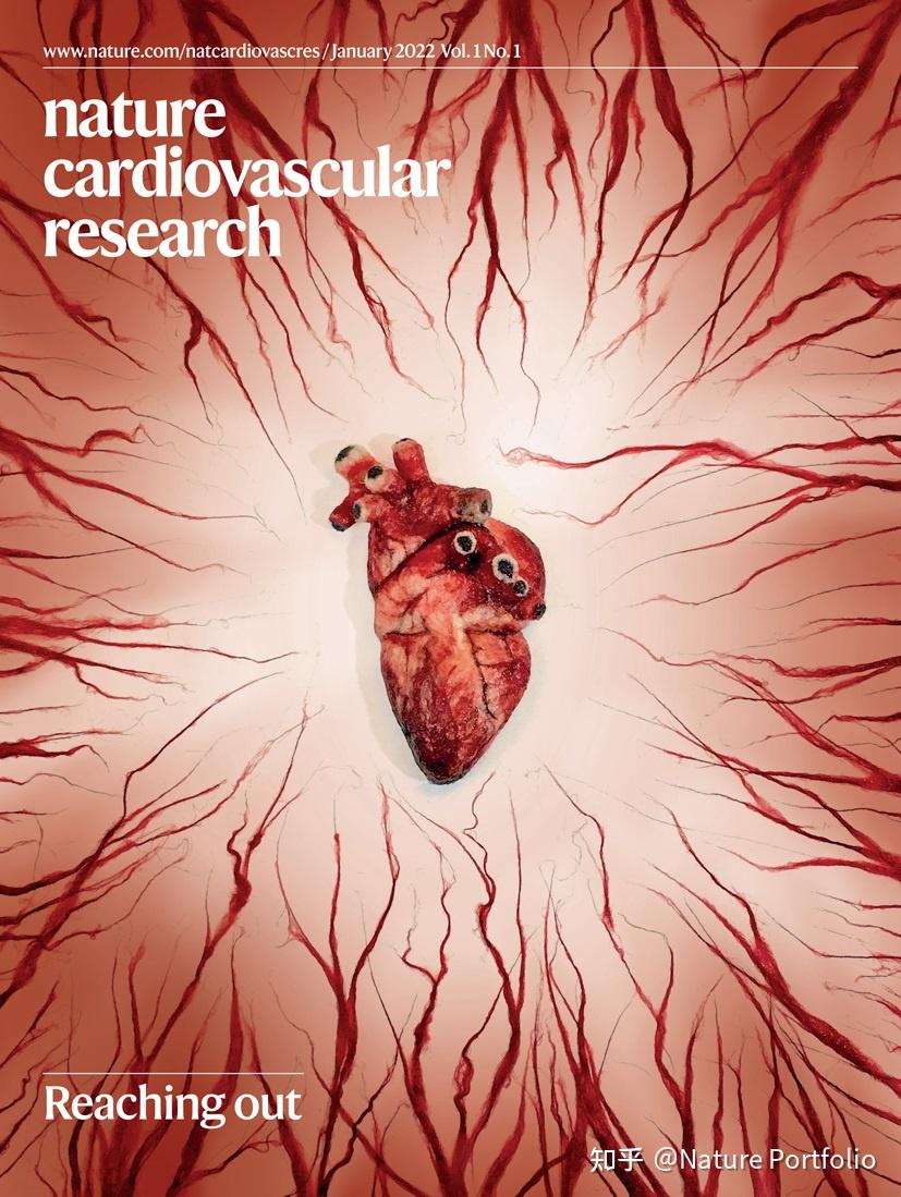 《自然-心血管研究》首期文章上线 - 知乎