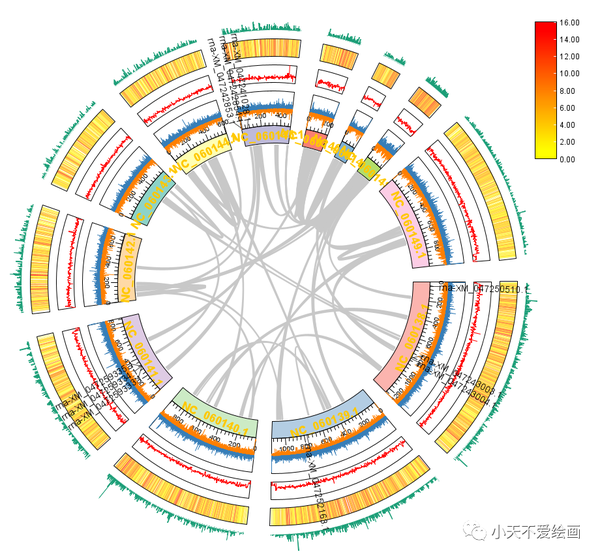 使用TBtools绘制Circos图 - 知乎