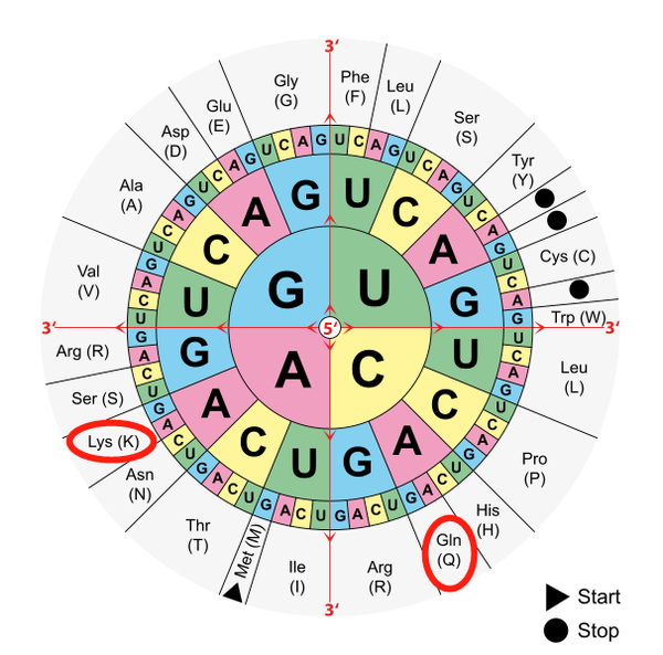经典工具 | 使用SIFT预测错义突变的有害性 - 知乎