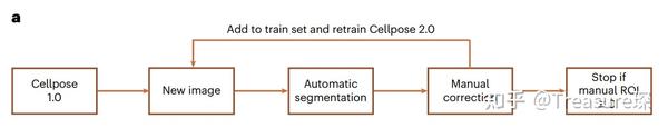 Cellpose 2.0——利用自己的数据训练模型 - 知乎