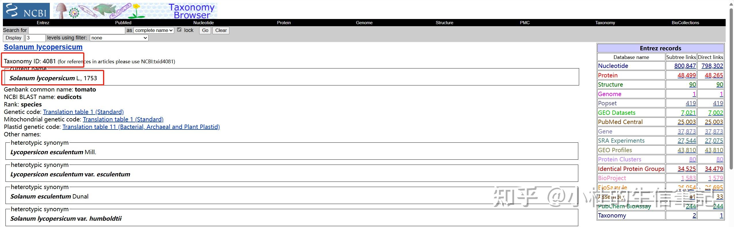 模式植物构建orgDb数据库 | 以org.Slycompersicum.eg.db为例 - 知乎