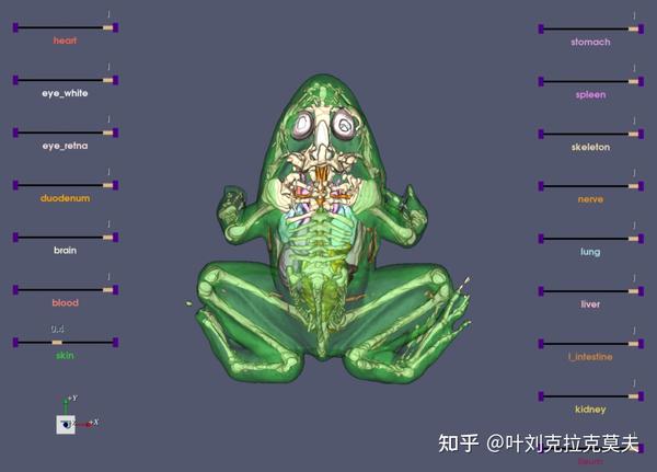 科学可视化软件介绍 – VTK - 知乎
