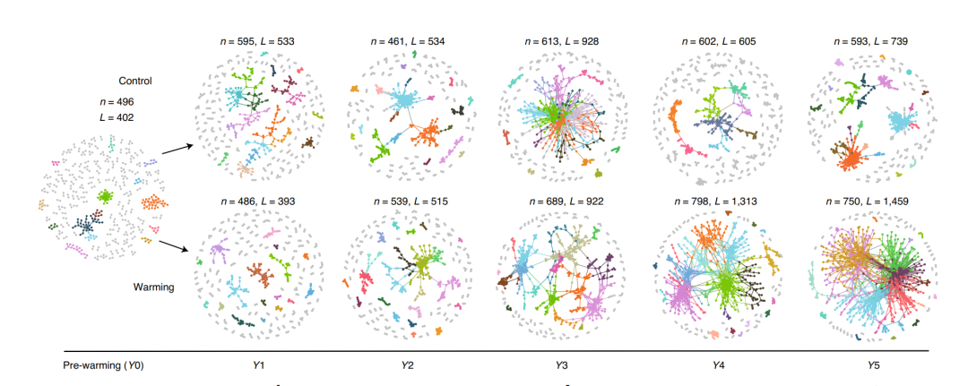这图怎么画| 微生物网络图(microbial networks) - 知乎