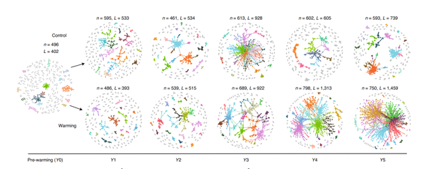 这图怎么画| 微生物网络图(microbial networks) - 知乎