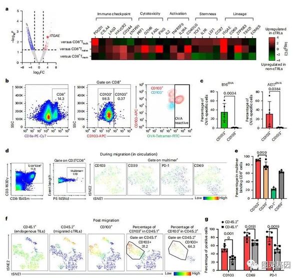 Nat Bio Eng | 微流控免疫磁性细胞分选法 从外周血中分离肿瘤反应性淋巴细胞 - 知乎