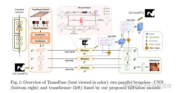 基于Transformer的医学图像分割15篇论文及开源代码 - 知乎