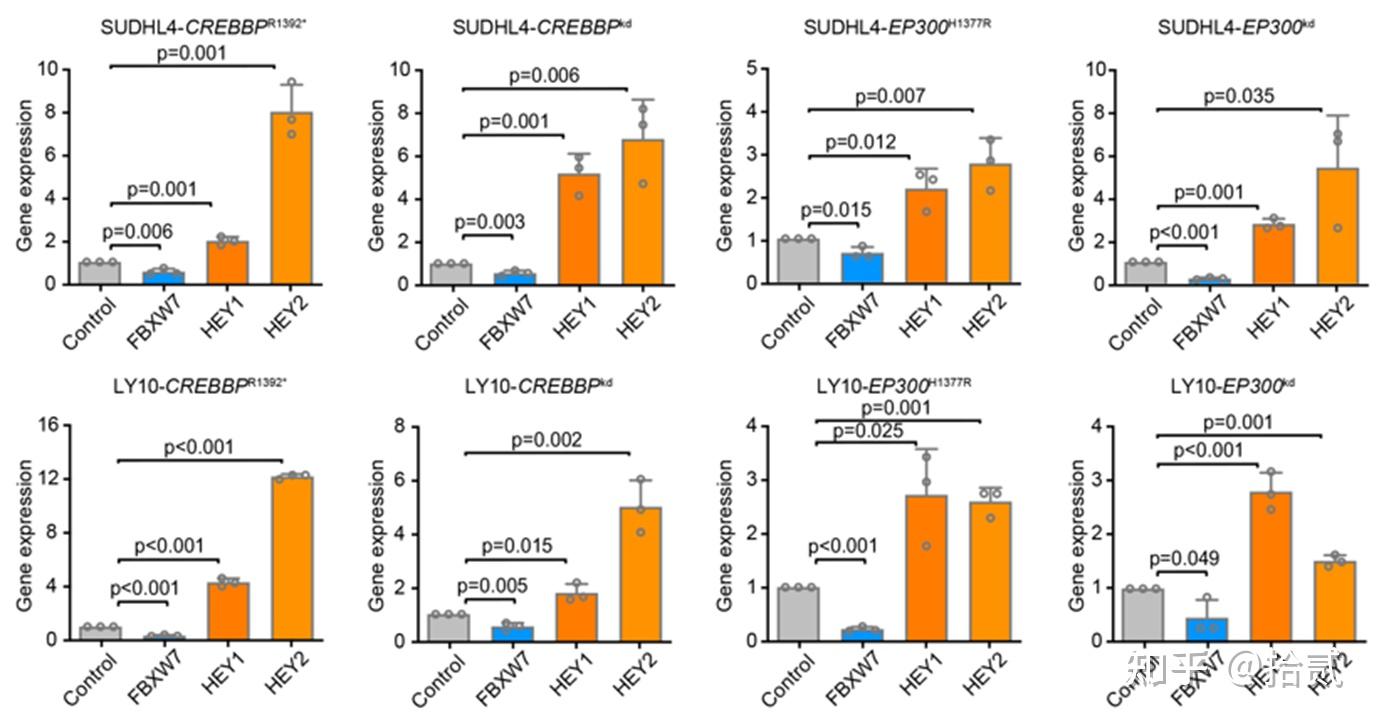 CREBBP/EP300突变通过FBXW7-NOTCH-CCL2/CSF1轴改变肿瘤相关巨噬细胞极化促进DLBCL进展 - 知乎