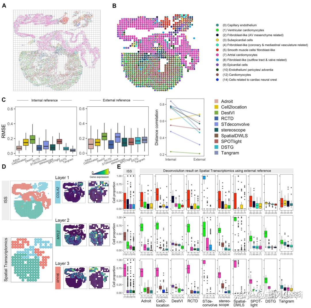 空间转录组去卷积工具的综合比较 - 知乎