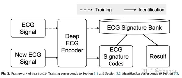 [Neurocomputing 2020] 基于心电信号的身份识别 - 知乎