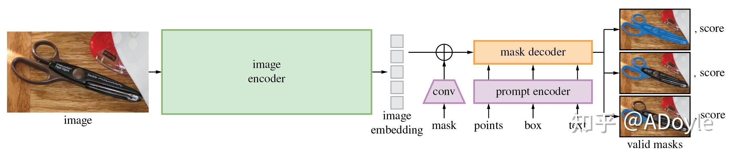 Image Segmentation Mask - 知乎
