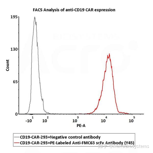 抗FMC63抗体—赋能CD19 CAR细胞药物PK研究 - 知乎