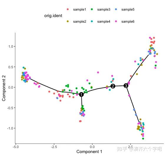 单细胞拟时序/轨迹分析原理及monocle2流程学习和整理 - 知乎
