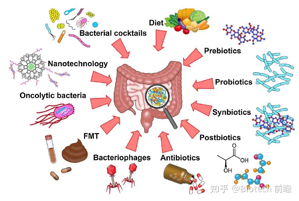 写在量子力学诺奖之后丨机制难寻，肠道菌群，汇总肠道菌群与免疫 - 知乎