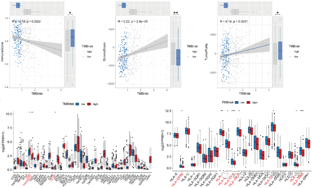 什么样的生信文章仨月就接收？带你看点肿瘤突变负荷 (TMB)不一样的分析法，“三步”完成8分+Frontiers！ - 知乎