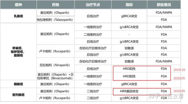 什么是HRR和HRD ,检测的原理，意义，方法和能治疗的肿瘤有哪些 - 知乎