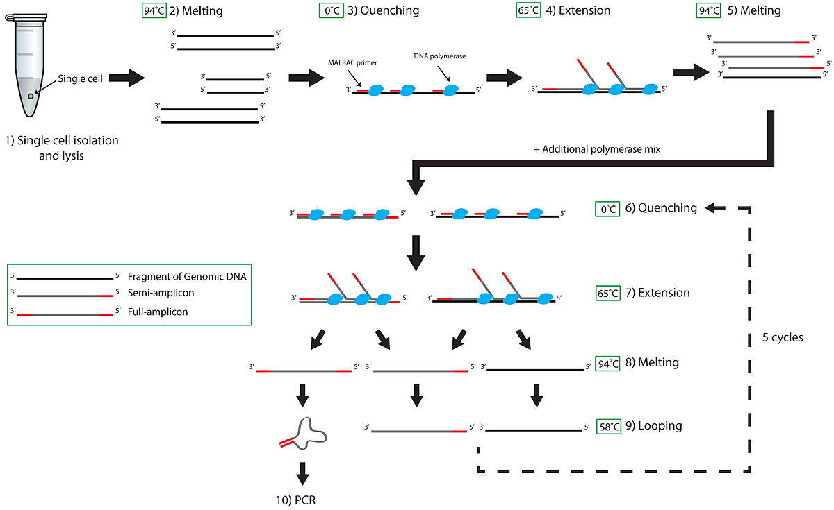 单细胞还能测全基因组？ - 知乎