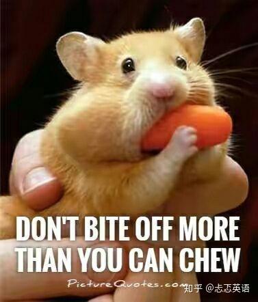 对着英语说英语：Bite off more than you can chew - 知乎