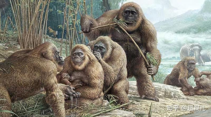 更新世——人与自然的最后和谐 - 知乎