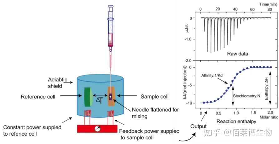 药物研究专题七：MST、SPR、ITC 技术在小分子与蛋白互作研究中的应用 - 知乎