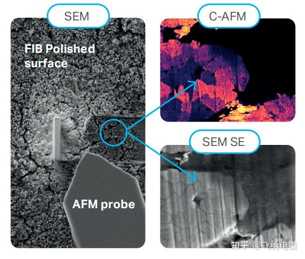 新品发布!AFM-SEM原子力扫描电镜一体机,电镜原位关联技术新时代 - 知乎