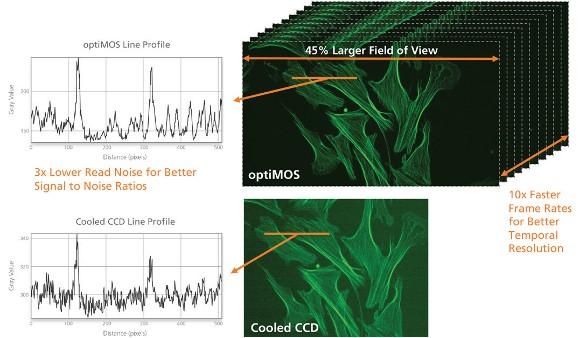科研相机选择：sCMOS还是CCD？ - 知乎