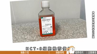HCT-8细胞培养，人结直肠腺癌细胞培养攻略 - 丰晖生物 - 知乎