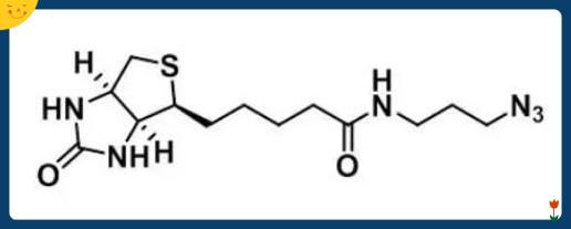 908007-17-0，Biotin-azide可用于生物学和化学领域的研究中 - 知乎