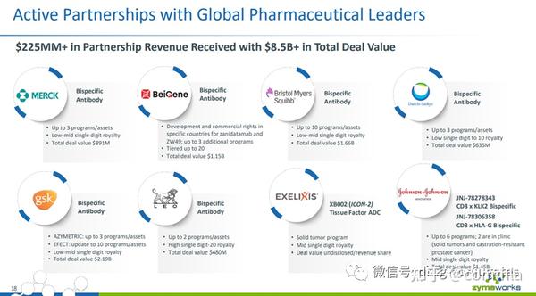 Zymeworks：双抗及双抗ADC技术梳理 - 知乎