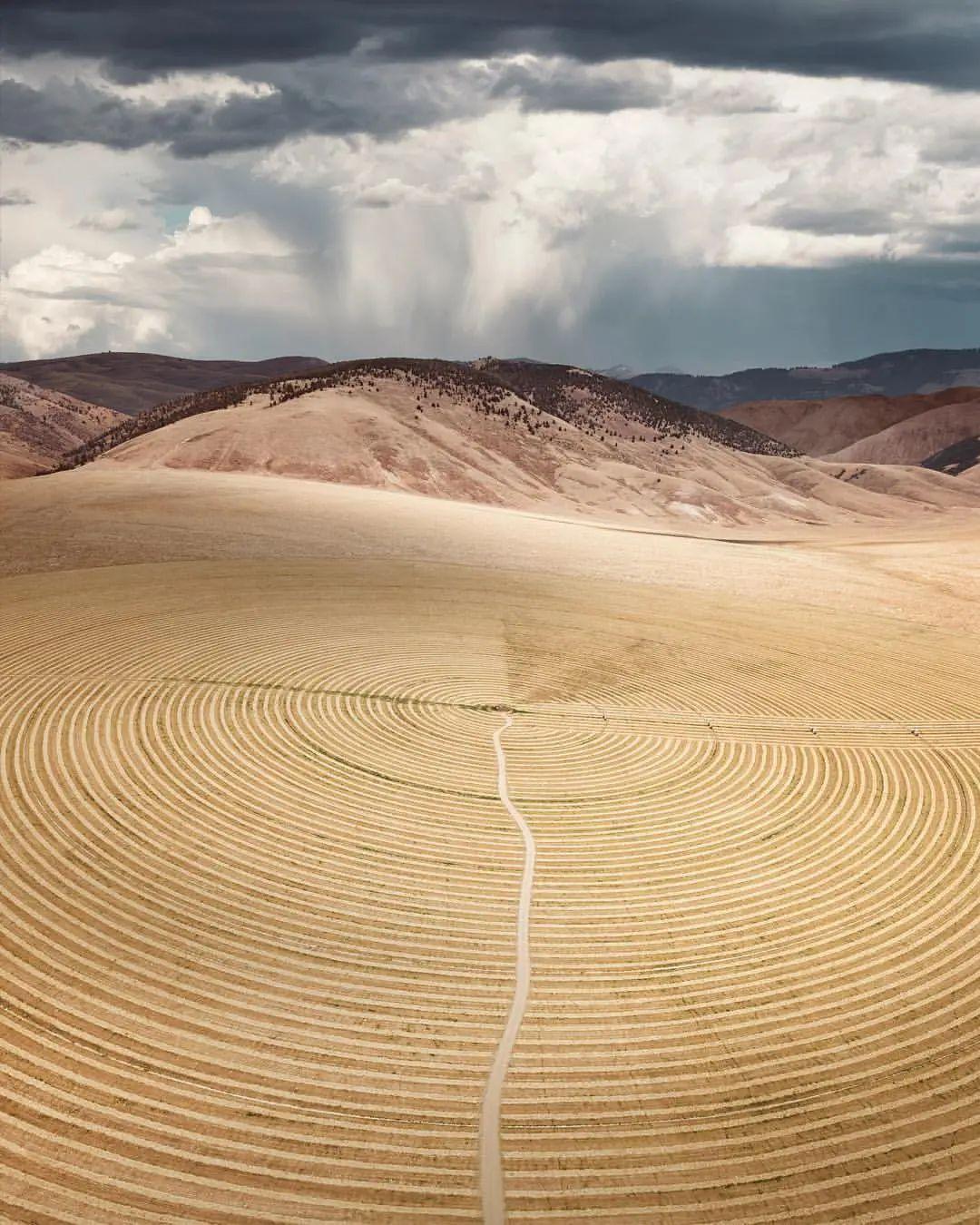 Benjamin Everett|发现自然的温柔 - 知乎