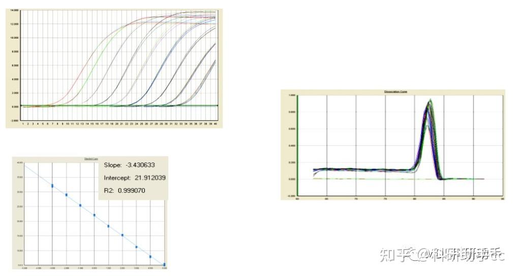 实验技巧 | 实时荧光定量PCR实验数据分析（超全教程） - 知乎