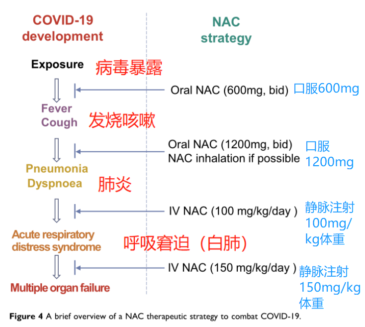 NAC：被遗忘的高效抗氧化支持补充剂 - 知乎
