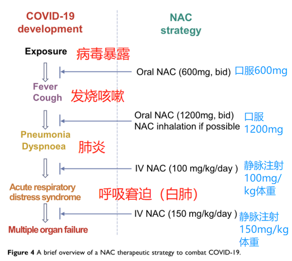 NAC：被遗忘的高效抗氧化支持补充剂 - 知乎