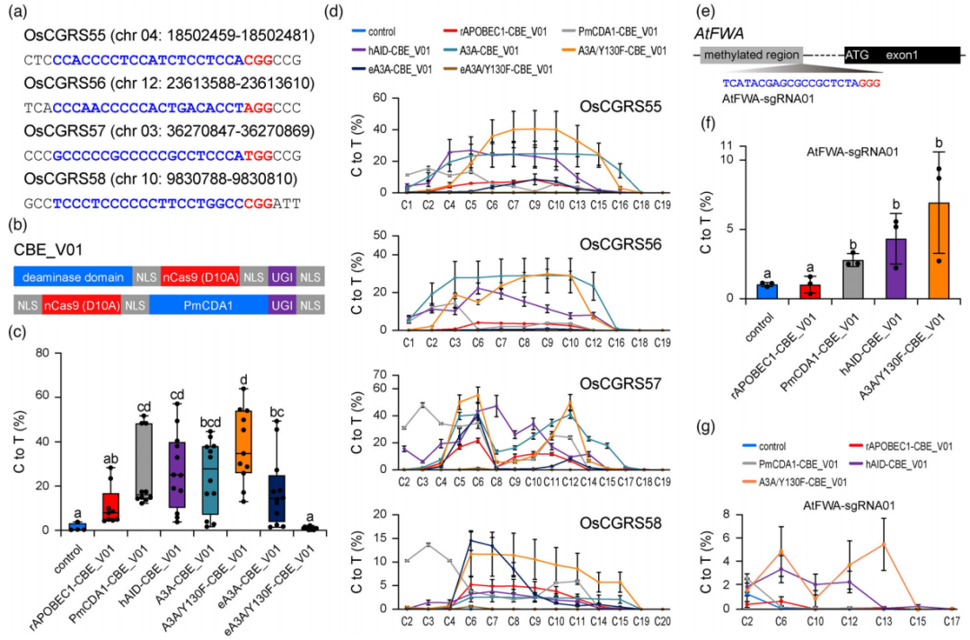 CRISPR screen——极具潜力的高通量筛选技术 - 知乎
