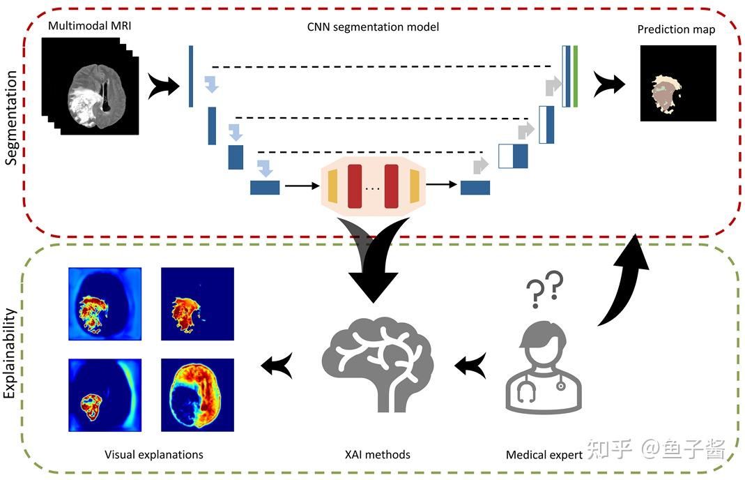 想做多模态和可解释性一定要看！这些idea思路是真的顶 - 知乎