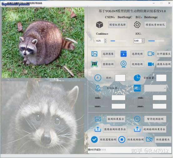 基于深度学习的高精度浣熊检测识别系统(pytorchpyside6yolov5模型) 知乎