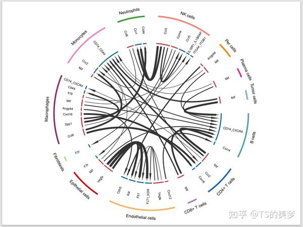 iTALK---单细胞受配体互作分析及可视化（详细版教程） - 知乎