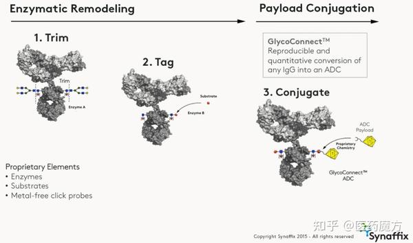 多项授权合作，Synaffix公司ADC专利技术解析 - 知乎