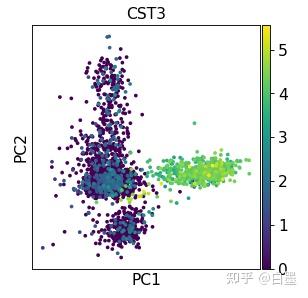 scanpy 单细胞分析包图文详解 - 知乎