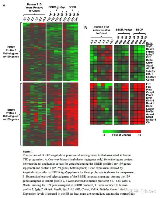 1型糖尿病中多因子参与免疫调节过程的时间诱导与病毒诱导相关研究 - 知乎