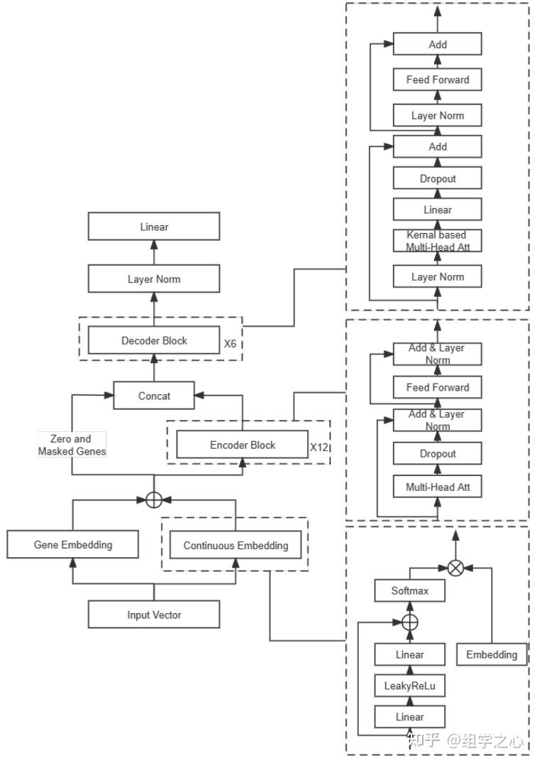 nature methods | 单细胞转录组学的大基础模型scFoundation的具体细节 - 知乎