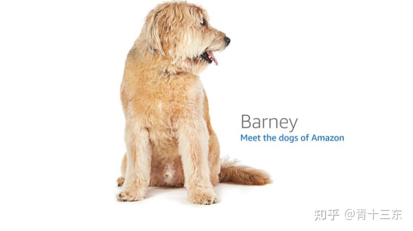 【多图预警】亚马逊Listing变成的狗到底有多少只？ - 知乎