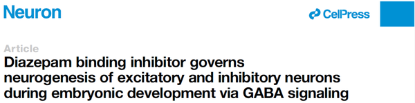Neuron: GABA信号调控神经发生 - 知乎