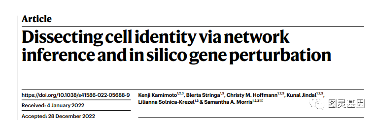 Nature | AI学习基因调控网络预测细胞分化类型 - 知乎
